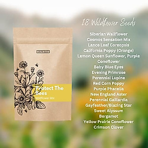 Honey Bee Wildflower Pollinator Mix - 65,000+ Seeds Perennial & Annual Flowers - Planting Outdoors to Save The Bees - California Poppy, Primrose, Bergamot & More