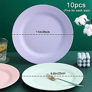 NA 10" 11" Dinner Plates Set of 10, Reusable Wheat Straw Dessert Dishes, Round Pasta Salad Serving Plate, Unbreakable Fiber Dinnerware for Party Steak Pizza (Pink)