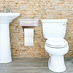 Toilet Paper Holder and 12 Inch Lazy Susan Organizer