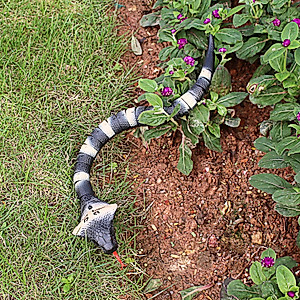 Tipmant RC Snake IR Remote Control Cobra Electric Fake Realistic Animal Crawling Vehicle Scary Trick Kids Halloween Christmas Prank Toys Birthday Gifts (Grey)