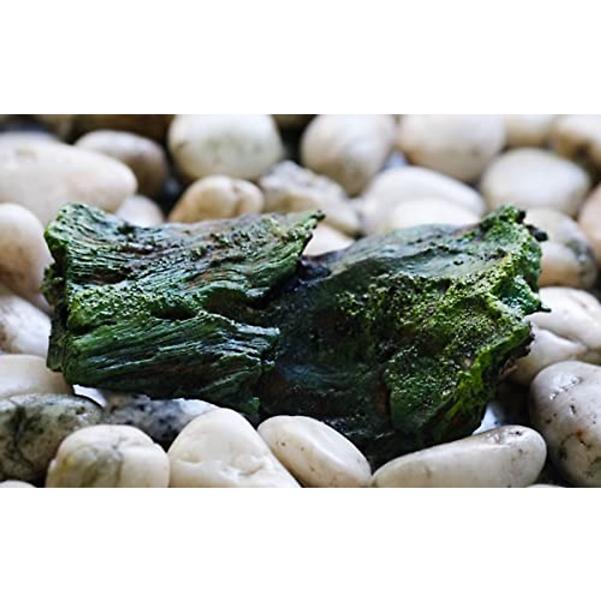 1shopforyou Random Selection Reptile Amphibian Habitat Decorative Garden Stakes 5X10 CM