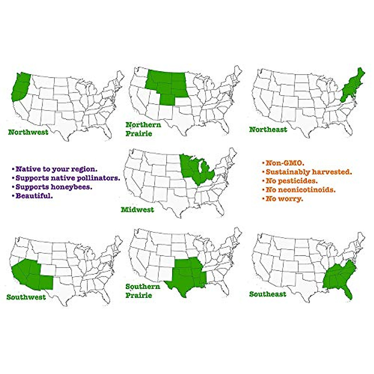 US Native Wildflower Seed Balls for Pollinators (50 Pack). Regional Wildflower Mix Seed Balls for Guerrilla Gardening (Northeast)