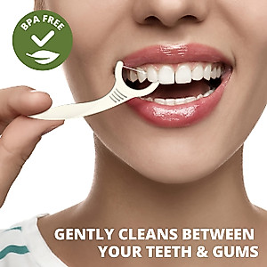 Plackers EcoChoice Compostable Dental Flossers, Sustainably Sourced, BPA Free, Recyclable Packaging, Natural Mint Flavor 50 Count (Pack of 6)