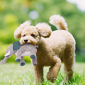 Squeaky Plush Large Dog Toy & Cotton Rope Chew Toy Kit, Cute Elephant Stuffed Toy and Carrot Teething Tug of War Rope Knot Toy Set for Small Medium Large Breed Holiday Birthday Gift (2 Pack)