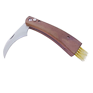 HANZIUP Mushroom Knife with Brush, Folding Fungus Lock Outdoors Truffles Harvest Sharp Knives, Natural Wood Handle, Neoprene Pouch