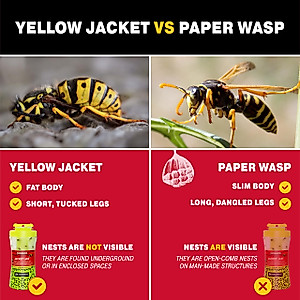 Catchmaster Yellow Jacket, Hornet, & Wasp Trap Jar 2-Pk, Reusable Bug Catcher with Attractant, Outdoor Flying Insect Trap, Wasp Killer Bug Trap, Pet Safe Pest Control for Backyard, Patio, & Shed