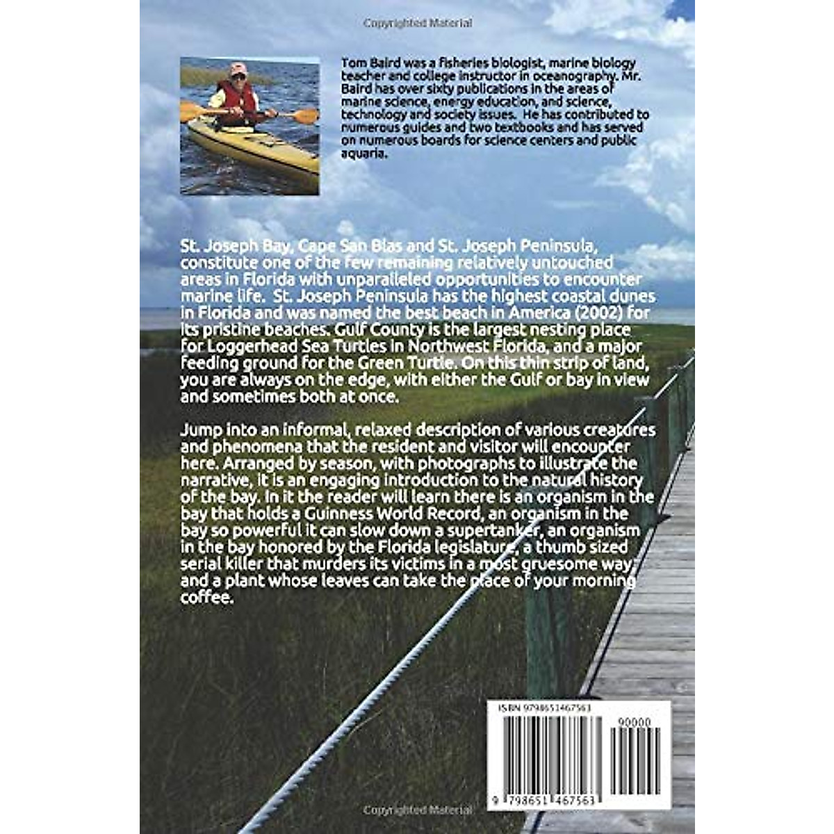 A Year on the Bay - St. Joseph Bay, Cape San Blas and the Beaches