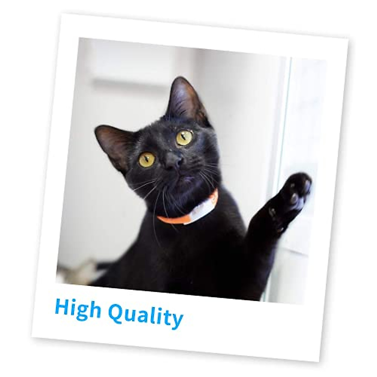 Compatible Toner Printer Cartridge Replacement for Brother TN450 TN-450 TN420 TN-420 (2 Black) for HL-2270DW HL-2280DW HL-2230 HL2240 MFC-7360N MFC-7860DW DCP-7065DN IntelliFax 2840