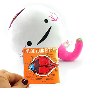 I Heart Guts Stuffed Eyeball Plush - Party Pupil in The House! - 10" Organ Stuffed Animals, Eye Doctor Gifts, Optometry Gifts, Ideal for Students, Opticians, Doctors, & Eye Surgery