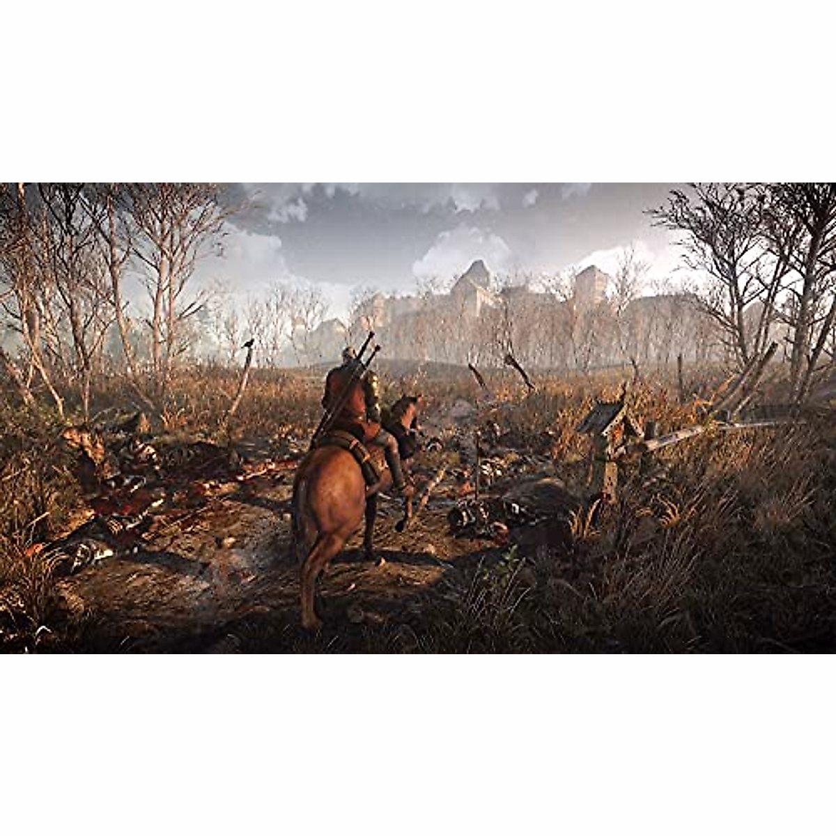 The Witcher 3: Wild Hunt - PlayStation 4 [video game]