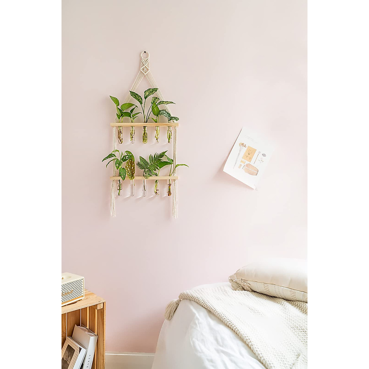 Mkono Wall Hanging Glass Planter with Macrame Hanger, Boho 2 Tier Propagation Tube Vase Plant Terrarium with Wooden Stand for Propagating Hydroponic Plants, Home Office Room Decor Women Gift Idea