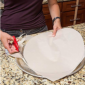 Homey 10-Pack Flexible Reusable and Resizable Non Stick Teflon Food Dehydrator Sheets, 14x14-Inches