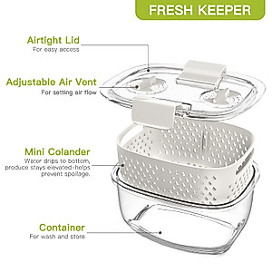 LUXEAR Fresh Produce Vegetable Fruit Storage Containers 3Piece Set, BPA-free, Partitioned Salad Container, Fridge Organizers, Used in Storing Fruits Vegetables, White