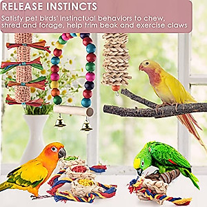 KATUMO Bird Toys, Parrot Chew Toys Parakeet Perch Conure Swing Cockatiel Cage Toys for Lovebird Conure Parakeet and Small Birds