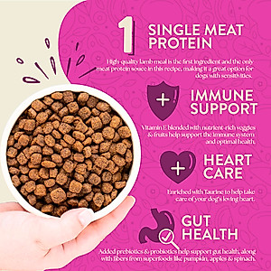 Earthborn Holistic Meadow Feast Lamb Meal & Vegetables Grain-Free Sensitive Skin & Stomach Dry Food for Adult Dogs (12.5 lb. Bag)