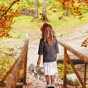 Dragon Drew Teddy Bear | 11” Plush Stuffed Animal | Gray