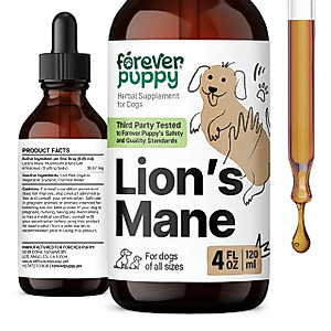 Lion's Mane Mushroom Supplement for Dogs - Liquid Drops for Dog Brain Health w/Lions Mane - Vegan Dog Supplements - Vitamins for Essential Brain Support & Focus - No Preservatives - 4 oz