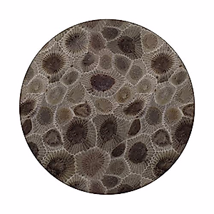 Petoskey Stone- Michigan PopSockets PopGrip: Swappable Grip for Phones & Tablets