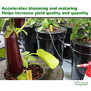 Viagrow Viastone, Expanded Clay Pebbles (2 Liter, 1 Pack)