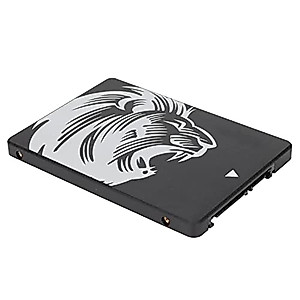 PENO SSD, CMOS Process Portable 2.5in SSD for Desktop for Laptops