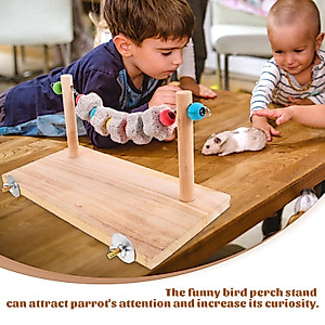Ipetboom Chew Toys Chinchilla Toys Tabletop Parrot Stand Cage Parrot Toy Parrot Accessories Parrot Perch Stands Bird Toy Cage Bird Perch Bird Training Perch Parrot Swing Toy Cage Bird Stand