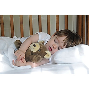 Travel Pillow Case 12x16 Set of 2 White Solid Envelope Style 500 Thread Count Toddler Pillowcase 100% Egyptian Cotton Travel Pillow Cover