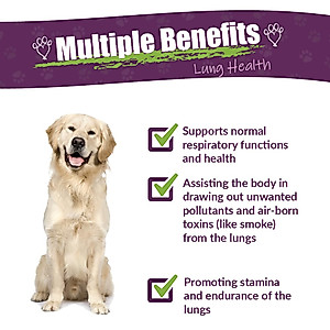 Amber NaturalZ Numo Care Lung Health Herbal Supplement for Dogs | Canine Herbal Supplement for Bronchial Support and Respiratory Lung Health | 1 Fluid Ounce Glass Bottle | Manufactured in The USA