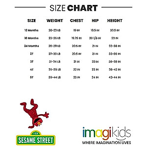 Sesame Street Oscar the Grouch Cookie Monster Elmo Infant Baby Boys Polo Shirt and Shorts Gray/Blue 24 Months