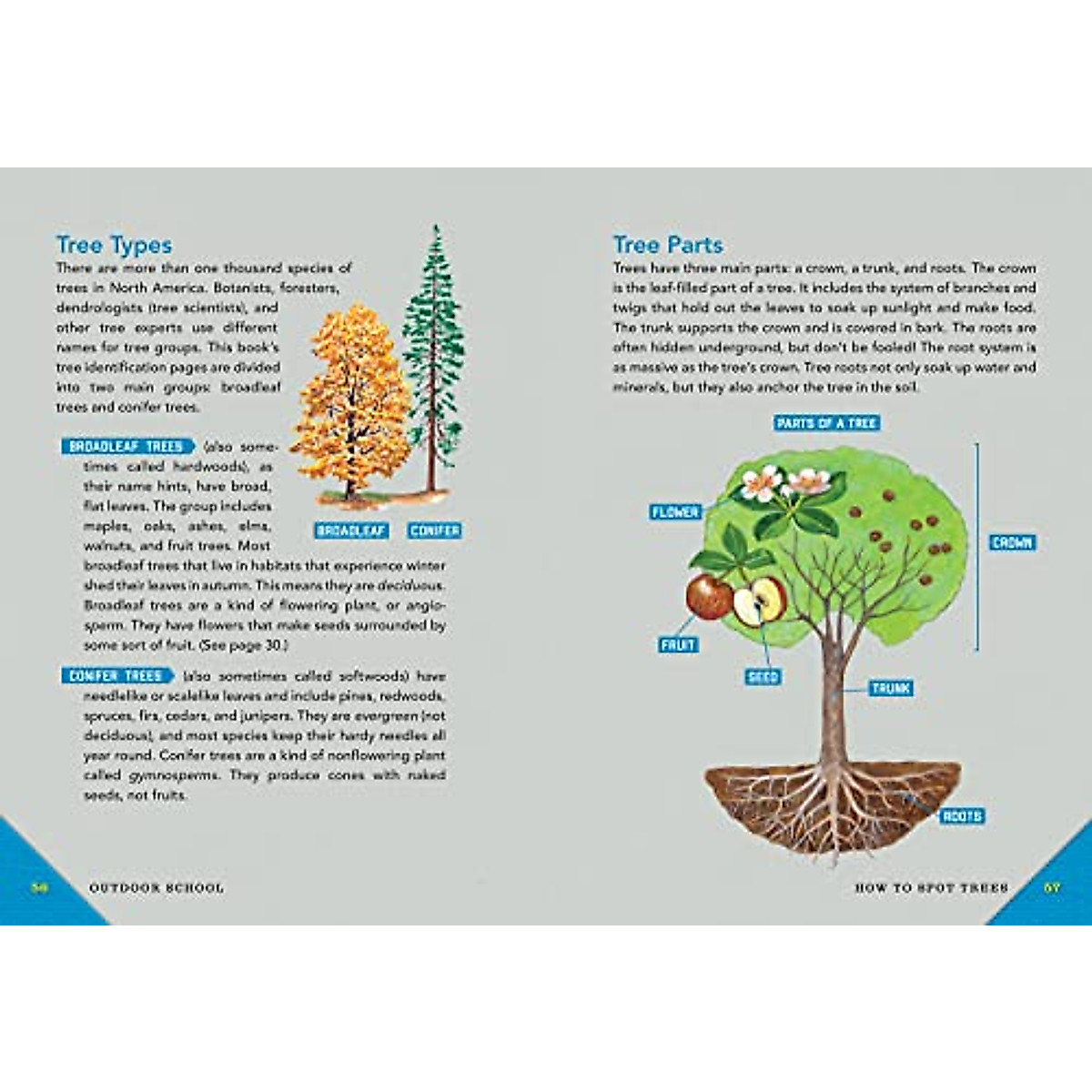 Outdoor School: Tree, Wildflower, and Mushroom Spotting: The Definitive Interactive Nature Guide