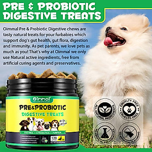 Probiotics Chews for Dogs - Pre & Probiotic Digestive Treats for Dog, Support Gut Health, Seasonal Allergies, Itchy Skin, Dog Supplement Soft Chews for Pet Immune System for Dogs - 120pc/Duck Flavor
