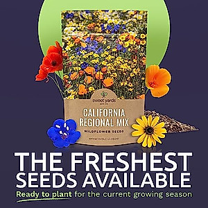 California Wildflower Mixture - Bulk 1/4 Pound Bag - Over 30,000 Native Seeds - Open Pollinated and Non GMO