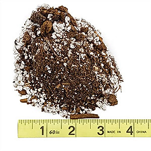 Citrus Tree Potting Soil Mix (8 Quarts), Special Blend for Indoor Oranges, Lemons, Limes and More