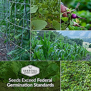 Survival Garden Seeds Home Garden Vegetable, Fruit & Herb Seed Bank Kit - 30 Pack - 18,500+ Non-GMO Heirloom Seeds Per Seed Vault - Grow Your Own Survival Food - Essential Emergency Preparedness Gear