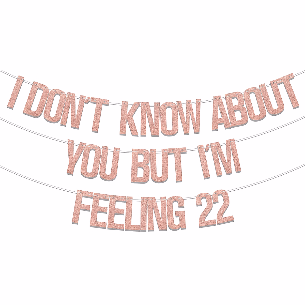 I Don't Know About You But I'm Feeling 22 Banner,I'm Feeling 22 Banner,22nd Birthday Party Decorations,Funny Happy 22nd Birthday Party Decor,Cheers to 22 Years Old Anniversary Party Supplies Rose Gold