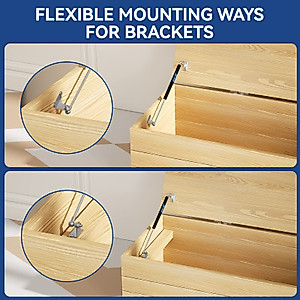 20 inch 200 LB Gas Prop Struts Shocks with L Mounting Brackets, 20" 889 N Lift-Support Gas Spring for Heavy-Duty Floor Hatch Trap Door Murphy Bed (Suitable Lid Weight: 185-220lbs), 2Pcs Set