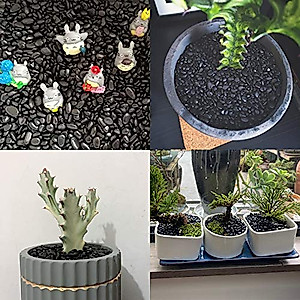 18 Pounds Black Decorative Pebbles Small Aquarium Gravel River Rock,Garden Ornamental Pebbles Rocks, Natural Polished Decorative Gravel,Decorative Stones,Pebbles,Decor Gravel for Landscaping (Black)