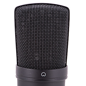 CAD Audio CAD GXL2200 Cardioid Condenser Microphone, Champagne Finish (AMS-GXL2200)