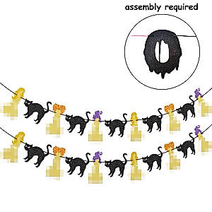 Hocus Pocus Bachelorette Party Banner Garland for Houcs Pocus Bachelorette Party Halloween Bachelorette Party Decorations