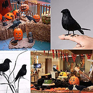 UCSAJI 6PCS Halloween Black Realistic Crow Halloween Props Black Feathered Crow Simulation Animal Model for Party Decoration
