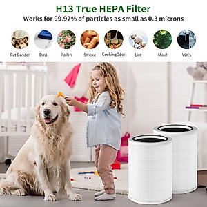 GoKBNY 1-Pack HEPA Replacement Filter Compatible with Clorox Large Room Purifier, Model # 11010 & 11011, 1,500 Sq. Ft. Capacity（12010）