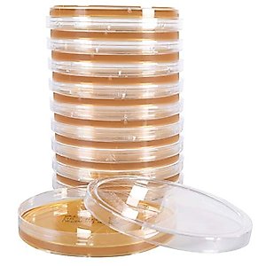 Lactobacilli MRS Agar, for The Cultivation of Lactobacillus Spp, 15x100mm Plate, Order by The Package of 10, by Hardy Diagnostics