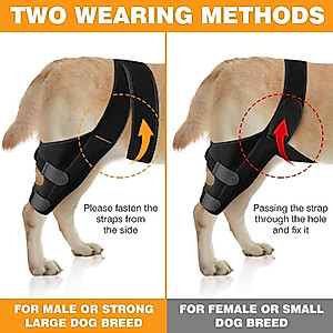 JUANWAN Dog Knee Brace Leg Braces - Dog Canine Knee Stifle Brace Wrap Dog Knee Brace for Torn ACL Hind Leg Joint Pain Muscle Sore Pet Brace Reduces Pain and Inflammation (M)