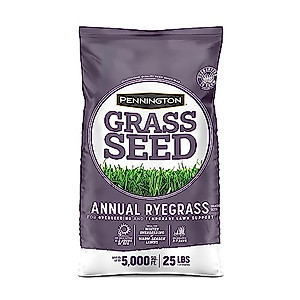Pennington Annual Ryegrass Retail Bag to Overseed Warm Season Grasses, 25 lb
