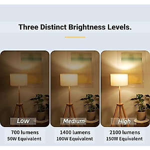 3 Way LED Light Bulb 50 100 150W Equivalent, Replacement Incandescent,A19 Light Bulb 5/10/15W 3000K Soft White E26 Medium Base, 4 Pack
