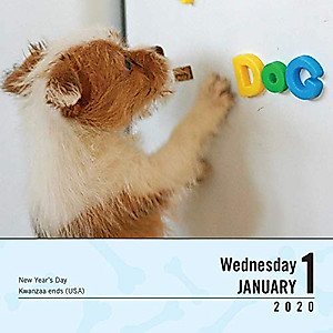 Puppies 2020 Day-to-Day Calendar