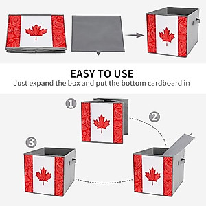Paisley and Canadian Flag Fashion Storage Bins Foldable Organizer Cubes 10.6" Collapsible Box Home Ofice Supplies 2PCS