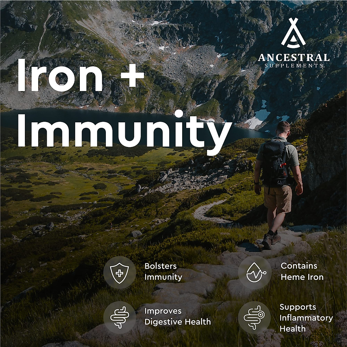 Ancestral Supplements Grass Fed Beef Spleen Supplement, 3000mg Beef Organ Spleen Support Formula Promotes Digestive, Immune, Iron, Energy and Allergy Health, Non GMO, 180 Capsules