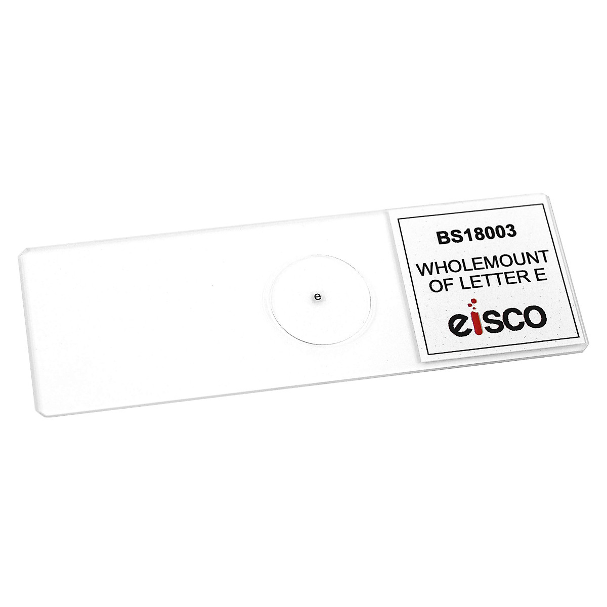EISCO Wholemount of Letter 'e', Prepared Microscope Slide - 75 x 25mm - Introductory Microscopy