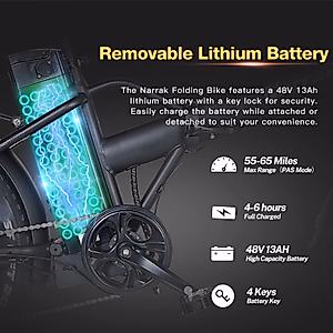 NARRAK Fat Tire Folding Electric Bike 48V 624Wh Lithium Removable Battery Peak 1100W Brushless Motor Max Speed 28Mph M5 Large LCD Display Suspension Step-Over Frame for Adults (S127-Black)