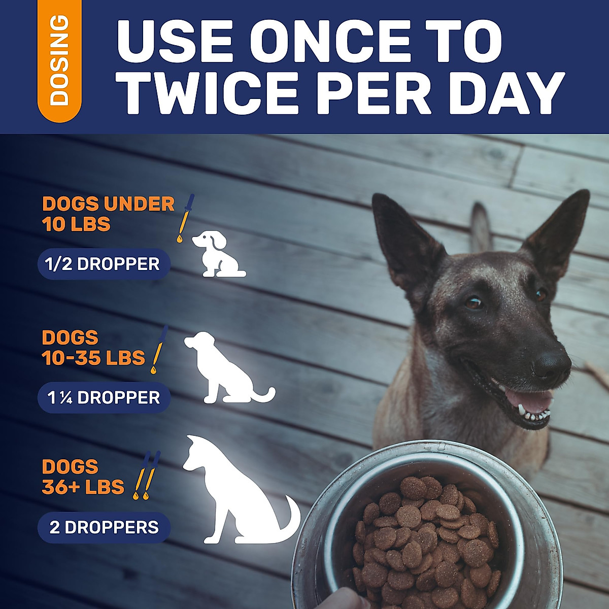 Antibiotic for Dogs ◆ Dog Antibiotic ◆ Natural Antibiotics for Dogs ◆ Pet Antibiotic ◆ Dog Antibiotics with Beef Flavor ◆ 2 Oz